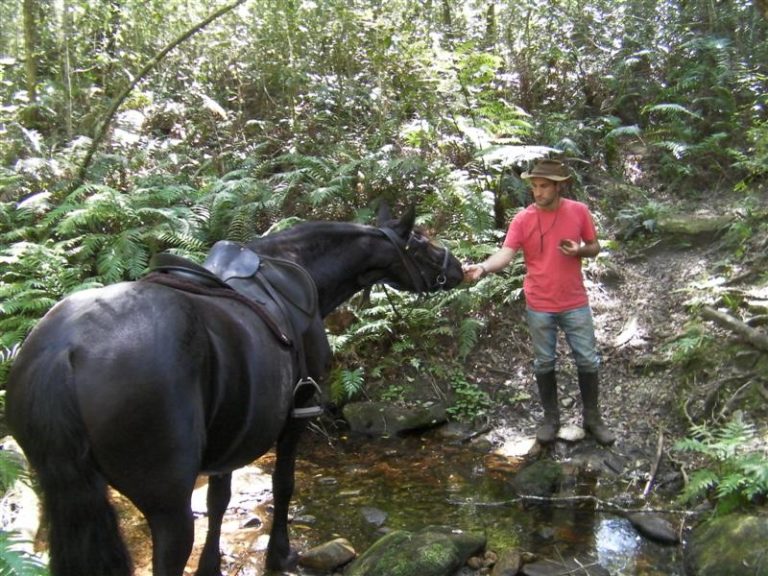 Horse Riding at Black Horse Trails | Hildesheim Guest Lodge